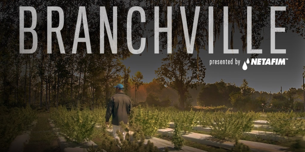 Branchville Series - Home - Branchville